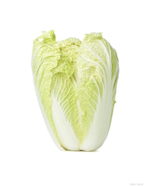 白菜图片怎么拍好看_白菜高清图去哪找-第3张图片-山城妙识 白菜图片怎么拍好看_白菜高清图去哪找-第3张图片-山城妙识