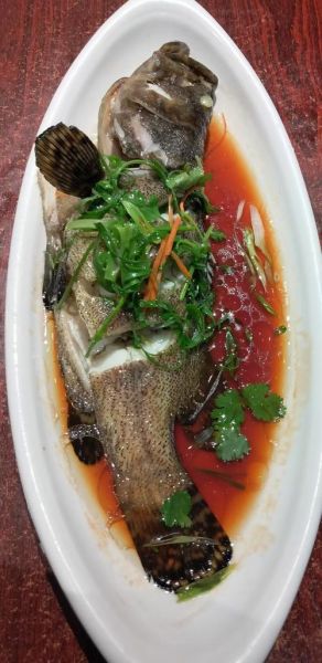 红烧石斑鱼怎么做_红烧石斑鱼视频教程-第3张图片-山城妙识 红烧石斑鱼怎么做_红烧石斑鱼视频教程-第3张图片-山城妙识