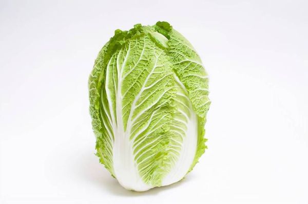 白菜图片怎么拍好看_白菜高清图去哪找-第1张图片-山城妙识 白菜图片怎么拍好看_白菜高清图去哪找-第1张图片-山城妙识