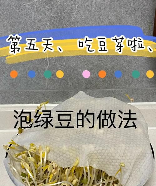 绿豆芽怎么种_绿豆芽几天能发芽-第1张图片-山城妙识