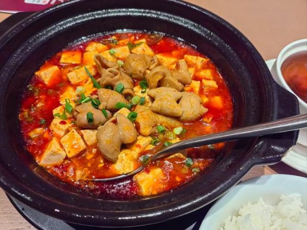 肥肠炖豆腐汤怎么做_肥肠炖豆腐汤的家常做法-第1张图片-山城妙识