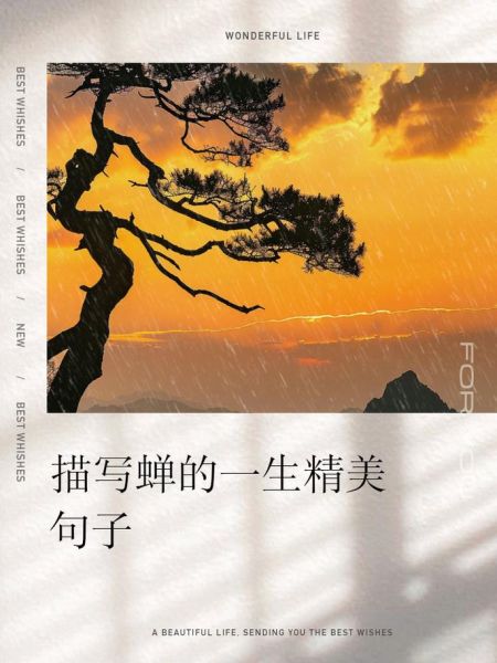 蝉的一生告诉我们什么_如何活出短暂而璀璨的人生-第2张图片-山城妙识