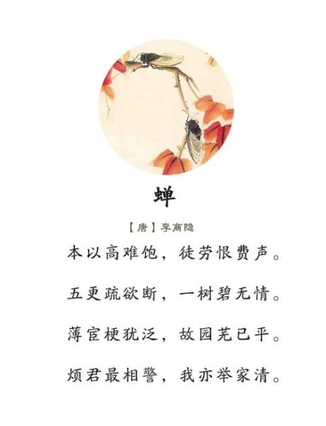 蝉的一生告诉我们什么_如何活出短暂而璀璨的人生-第1张图片-山城妙识