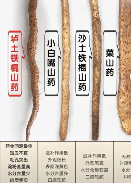 山药的功效与作用_山药的营养价值-第2张图片-山城妙识