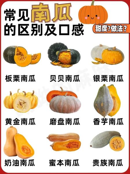 老南瓜图片大全_老南瓜怎么挑选-第3张图片-山城妙识