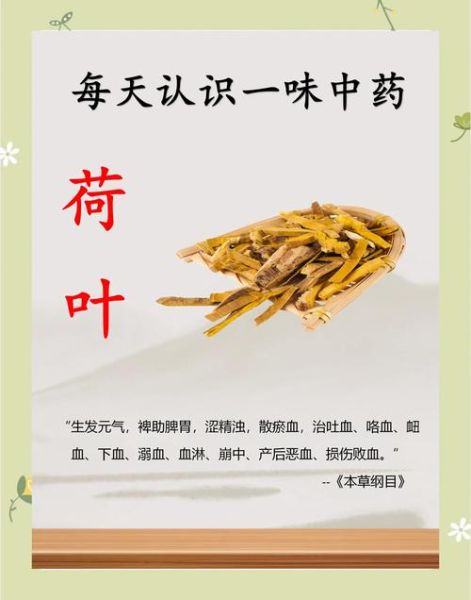 荷叶减肥吗_多久见效-第2张图片-山城妙识