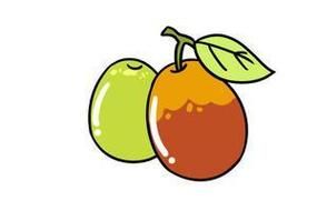 红枣图片大全大图简笔_红枣简笔画怎么画-第2张图片-山城妙识