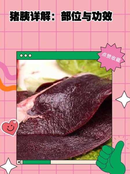 猪胰子的功效与作用_猪胰子能治什么病-第2张图片-山城妙识