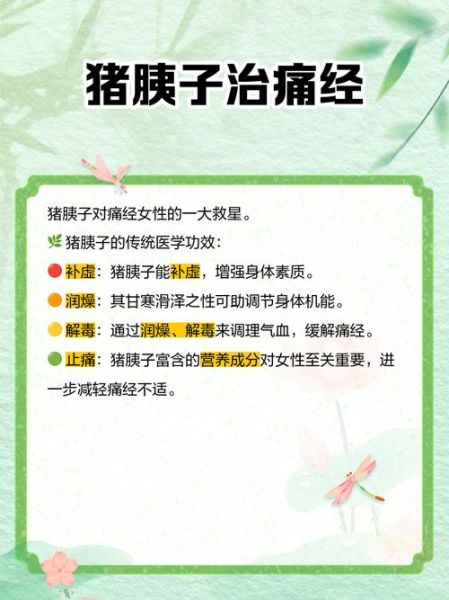 猪胰子的功效与作用_猪胰子能治什么病-第3张图片-山城妙识