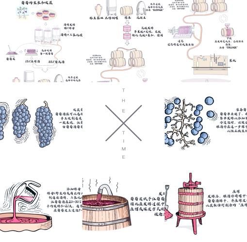 红酒怎么酿造_红酒酿造工艺流程-第1张图片-山城妙识