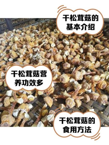 干松茸怎么做好吃_干松茸泡发多久-第1张图片-山城妙识