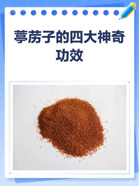 葶苈子能止咳平喘吗_葶苈子哪些人不能吃-第1张图片-山城妙识