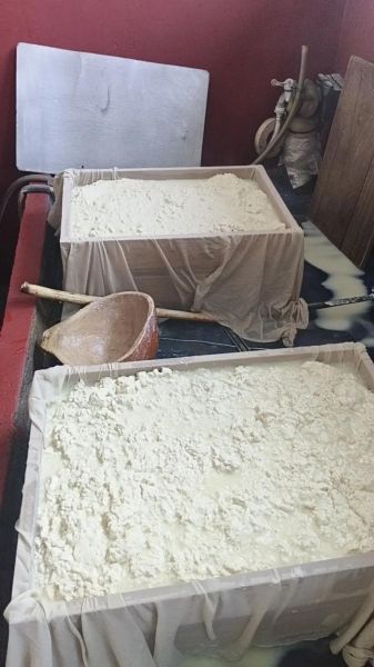 卤水点豆腐的卤水是什么_卤水点豆腐的卤水怎么做-第2张图片-山城妙识 卤水点豆腐的卤水是什么_卤水点豆腐的卤水怎么做-第2张图片-山城妙识