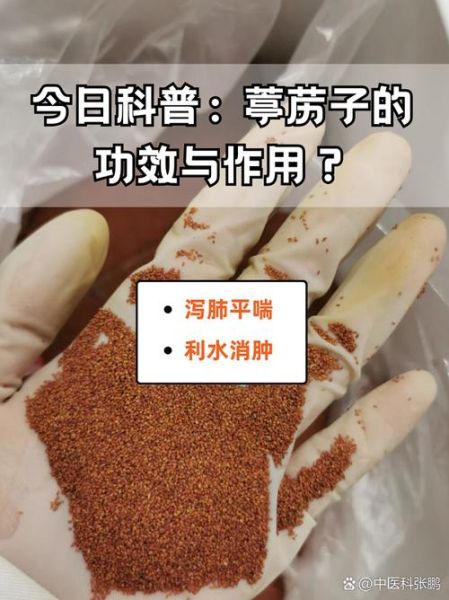 葶苈子能止咳平喘吗_葶苈子哪些人不能吃-第3张图片-山城妙识