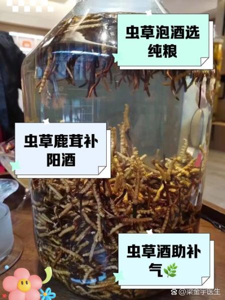 冬虫夏草泡酒的功效与作用_冬虫夏草泡酒多久能喝-第1张图片-山城妙识