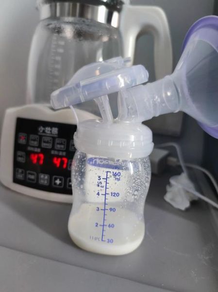 产妇鸽子汤怎么做下奶_鸽子汤下奶做法-第1张图片-山城妙识