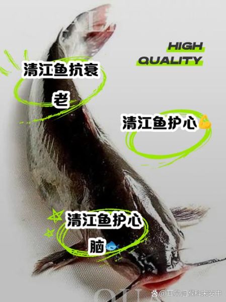 清江鱼多少钱一斤_清江鱼价格为什么贵-第1张图片-山城妙识 清江鱼多少钱一斤_清江鱼价格为什么贵-第1张图片-山城妙识