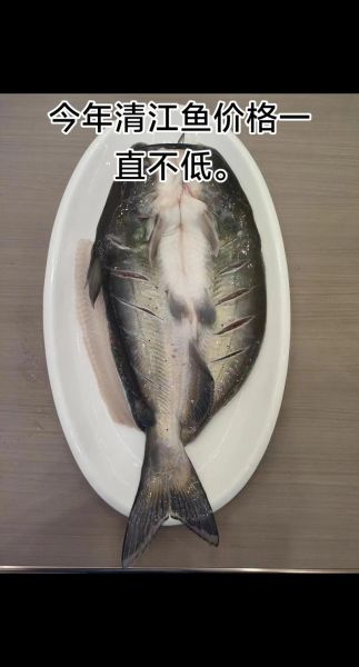 清江鱼多少钱一斤_清江鱼价格为什么贵-第2张图片-山城妙识 清江鱼多少钱一斤_清江鱼价格为什么贵-第2张图片-山城妙识