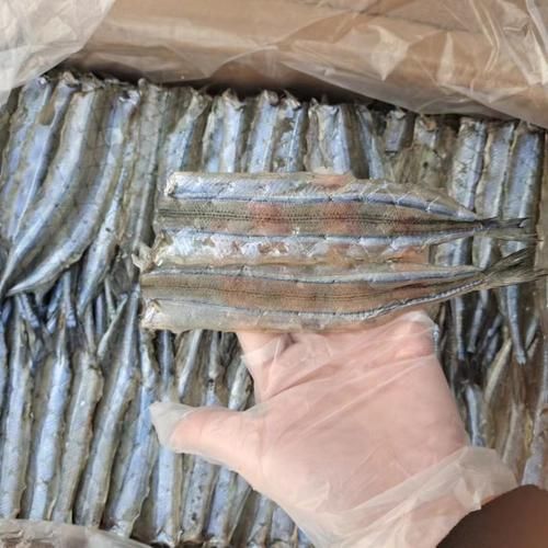 马步鱼为什么这么贵_马步鱼多少钱一斤-第1张图片-山城妙识 马步鱼为什么这么贵_马步鱼多少钱一斤-第1张图片-山城妙识