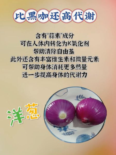 长期吃洋葱有什么好处_洋葱能天天吃吗-第3张图片-山城妙识