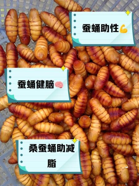 蚕蛹一天吃几个补蛋白_蚕蛹蛋白质含量多少-第1张图片-山城妙识 蚕蛹一天吃几个补蛋白_蚕蛹蛋白质含量多少-第1张图片-山城妙识