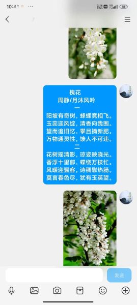 槐花几时开是山歌还是小调_四川民歌分类解析-第3张图片-山城妙识
