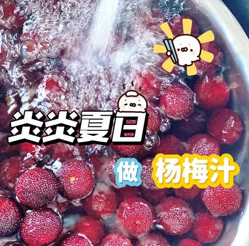 杨梅汁怎么做好吃_杨梅汁的做法窍门-第1张图片-山城妙识