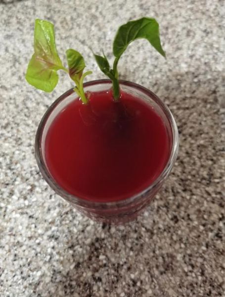 杨梅汁怎么做好吃_杨梅汁的做法窍门-第3张图片-山城妙识