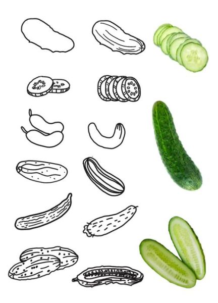 青瓜简笔画怎么画_青瓜简笔画步骤-第1张图片-山城妙识