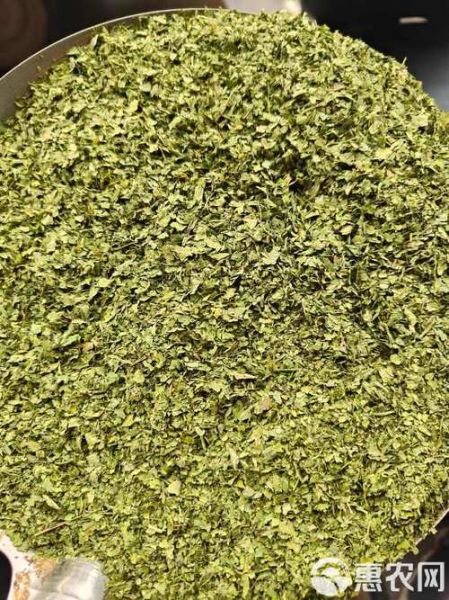 欧芹和罗勒的区别_哪个更适合做意面-第1张图片-山城妙识 欧芹和罗勒的区别_哪个更适合做意面-第1张图片-山城妙识