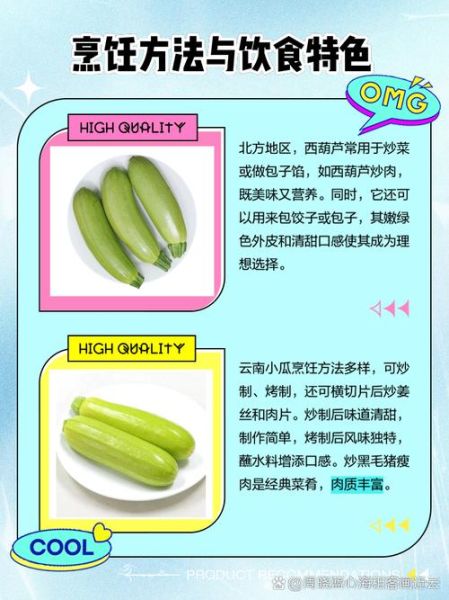 西葫芦和茭瓜的区别_哪个更好吃-第2张图片-山城妙识