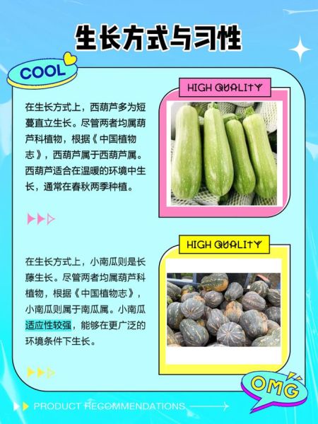 西葫芦和茭瓜的区别_哪个更好吃-第1张图片-山城妙识