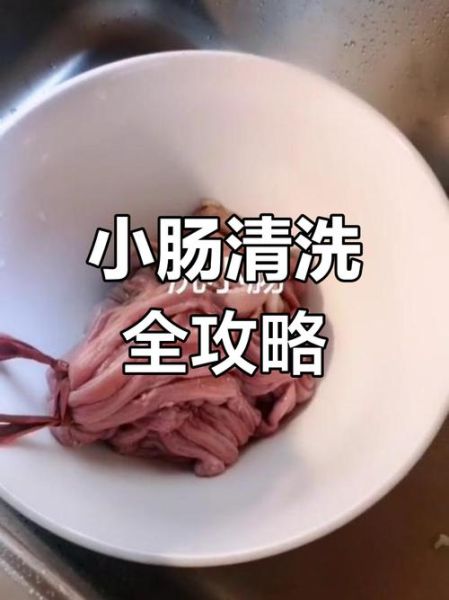 猪小肠为什么会苦_猪小肠苦味怎么去除-第2张图片-山城妙识