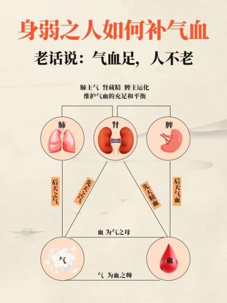 气血双补第一方是什么_气血双补第一方适合哪些人-第2张图片-山城妙识