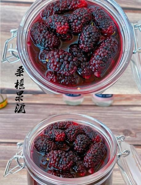 自制桑葚酒不放酒的做法_不放酒桑葚酒怎么做-第1张图片-山城妙识