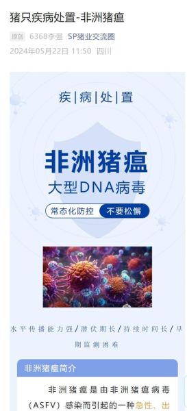 2021年猪瘟疫情最新消息_非洲猪瘟还能吃猪肉吗-第3张图片-山城妙识