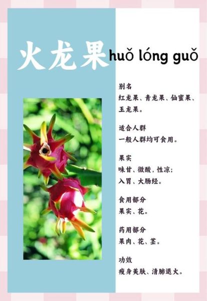 火龙果的功效与作用_火龙果怎么吃最减肥-第2张图片-山城妙识 火龙果的功效与作用_火龙果怎么吃最减肥-第2张图片-山城妙识