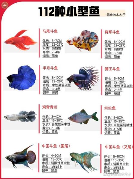 淡水鱼有哪些品种_海水鱼有哪些品种-第2张图片-山城妙识 淡水鱼有哪些品种_海水鱼有哪些品种-第2张图片-山城妙识