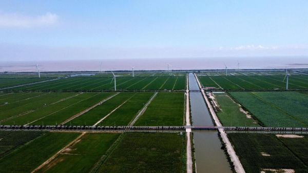 海涂是什么意思_海涂和滩涂有什么区别-第3张图片-山城妙识