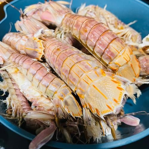 皮皮虾10月份还能吃吗_10月皮皮虾肥不肥-第1张图片-山城妙识