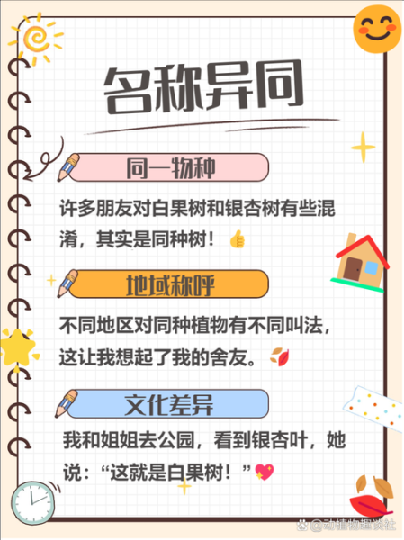 百果树是不是银杏树_百果树与银杏树的区别-第1张图片-山城妙识