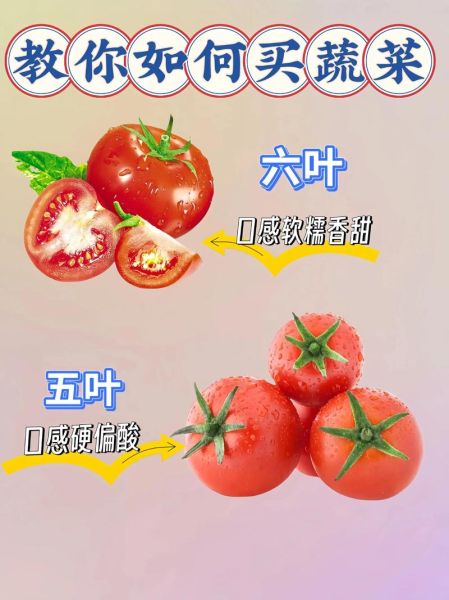 蔬菜批发新手如何进货_第一次进货注意什么-第3张图片-山城妙识 蔬菜批发新手如何进货_第一次进货注意什么-第3张图片-山城妙识