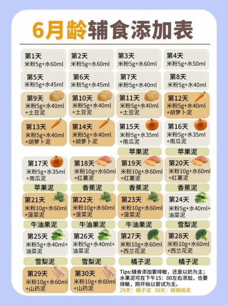 6个月宝宝辅食添加顺序图_先吃什么后吃什么-第2张图片-山城妙识