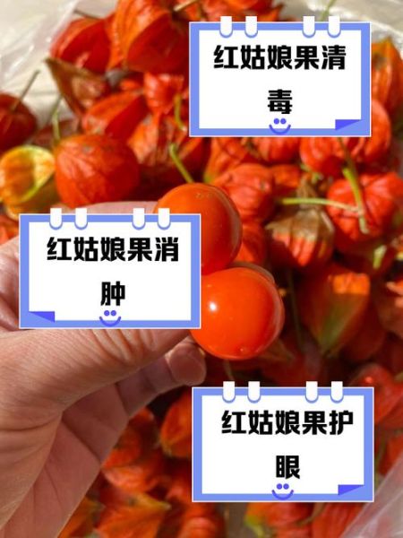 姑娘果的功效与作用_姑娘果图片长什么样-第1张图片-山城妙识 姑娘果的功效与作用_姑娘果图片长什么样-第1张图片-山城妙识