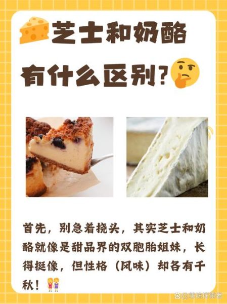 奶酪和芝士的区别_哪个更健康-第1张图片-山城妙识 奶酪和芝士的区别_哪个更健康-第1张图片-山城妙识