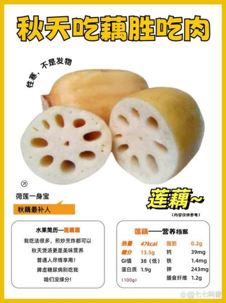 藕的营养价值及功效与作用_藕怎么吃最健康-第1张图片-山城妙识