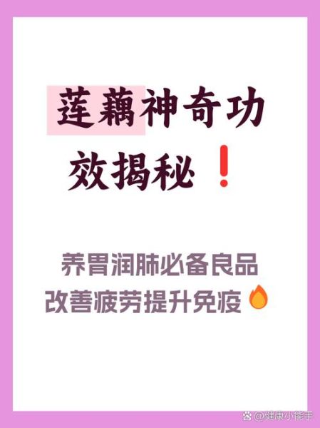 藕的营养价值及功效与作用_藕怎么吃最健康-第3张图片-山城妙识