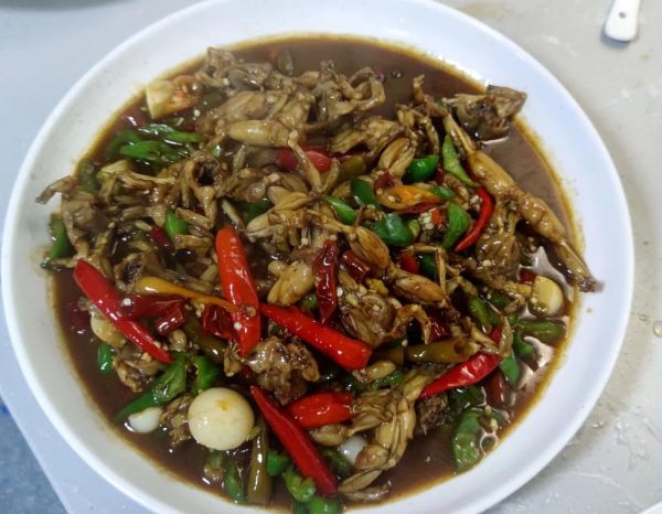 青蛙养殖成本利润_青蛙养殖赚钱吗-第3张图片-山城妙识 青蛙养殖成本利润_青蛙养殖赚钱吗-第3张图片-山城妙识