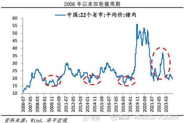 猪肉价格历史走势图怎么看_未来还会涨吗-第1张图片-山城妙识 猪肉价格历史走势图怎么看_未来还会涨吗-第1张图片-山城妙识