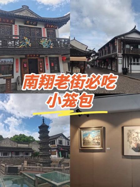 南翔小笼包哪家正宗_古猗园店还是南翔老街-第2张图片-山城妙识